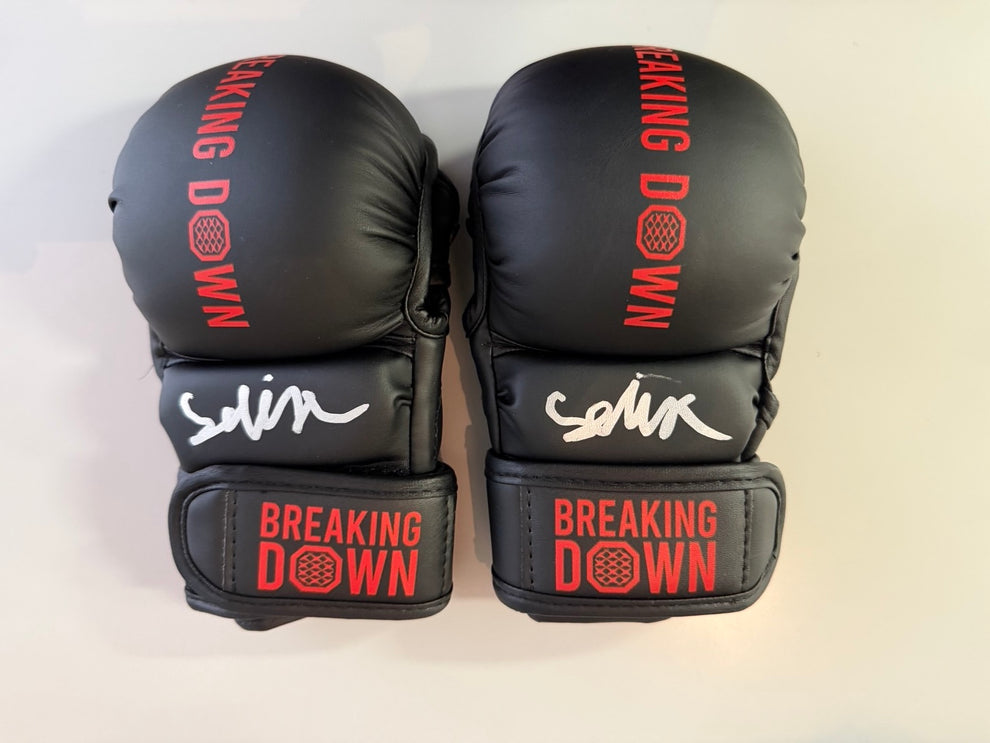 BreakingDown16.5 せーや選手サイン入りグローブ – BreakingDown ONLINE SHOP